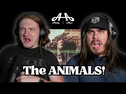 The Animals are WAYY too Good | Andy & Alex FIRST TIME REACTION!