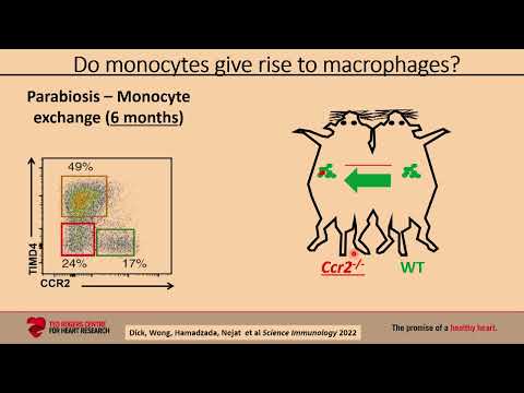 M-BoCA Symposium, October 8th, 2024 - Slava Epelman