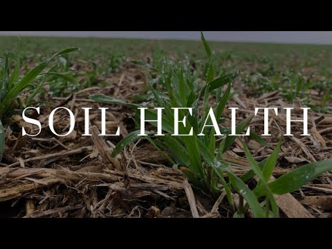 Soil Health on a Diversified Farm