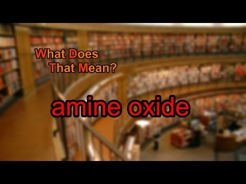 What does amine oxide mean?