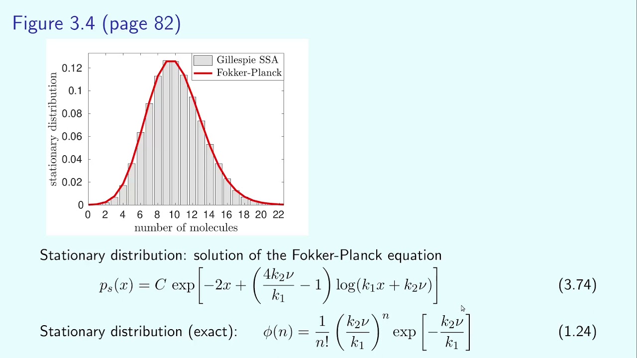 Lecture 11 (Stochastic Modelling of Biological Processes)