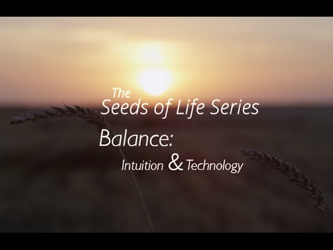 The Seeds of Life - Balance: Intuition and technology (Ep #1) - New Holland Agriculture
