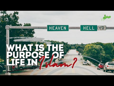 What is the Purpose of Life in Islam? | Quranic Insights on Life’s Meaning #PurposeOfLife