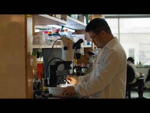 Research Scout Scholar: Longhua Guo, Ph.D.