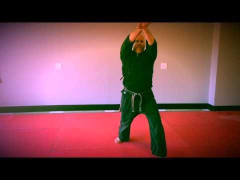 The Dojo American Karate Centers - Code of Champions Form