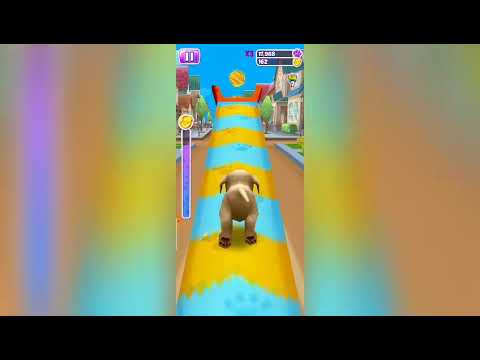 pet run | panya Gamer | game playing pet run |