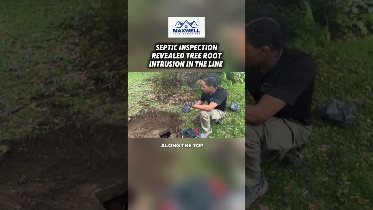 Septic Inspection revealed tree root intrusion in the line #septicinspection #homeinspection