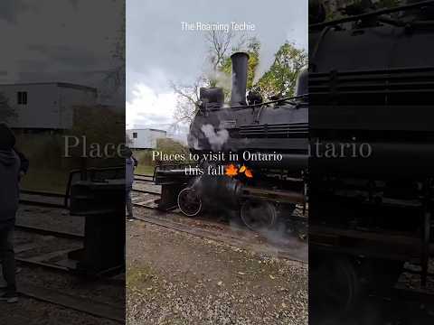 SOUTH SIMCOE RAILWAY TOTTENHAM Steam locomotive Built in 1883!!! #locomotives #rails #tottenham