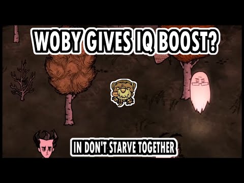 Steam Community :: Video :: Woby Gives IQ Boost? In Don't Starve Together