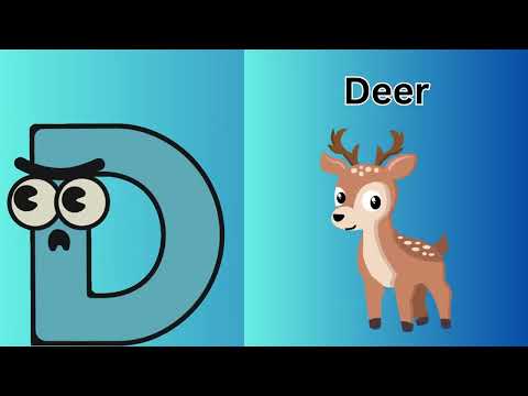 Dazzling Letter D: 7 Fun Things for Kids | Educational Video