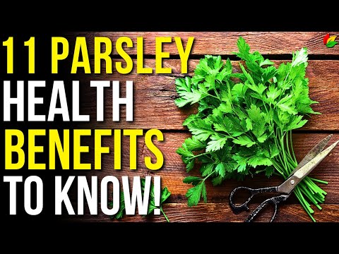 11 Benefits of Parsley You Should Know! | Health Benefits of Parsley
