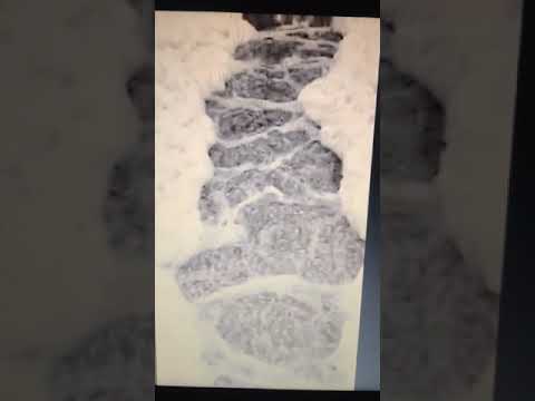 Bio Pac Media - Bio Ring Media Latest Price, Manufacturers & Suppliers