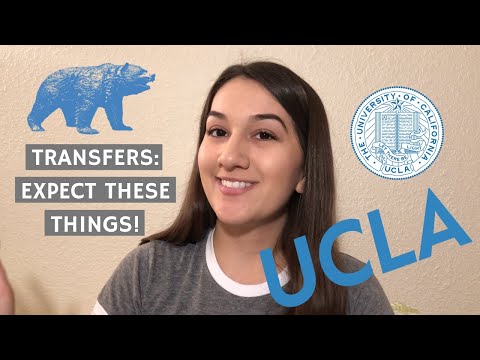 What to Expect Your 1st Year at UCLA for Transfer Students