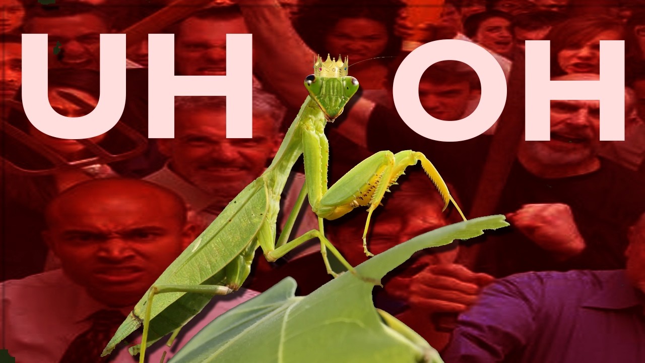 Agathor Tales 20: Bug Lord