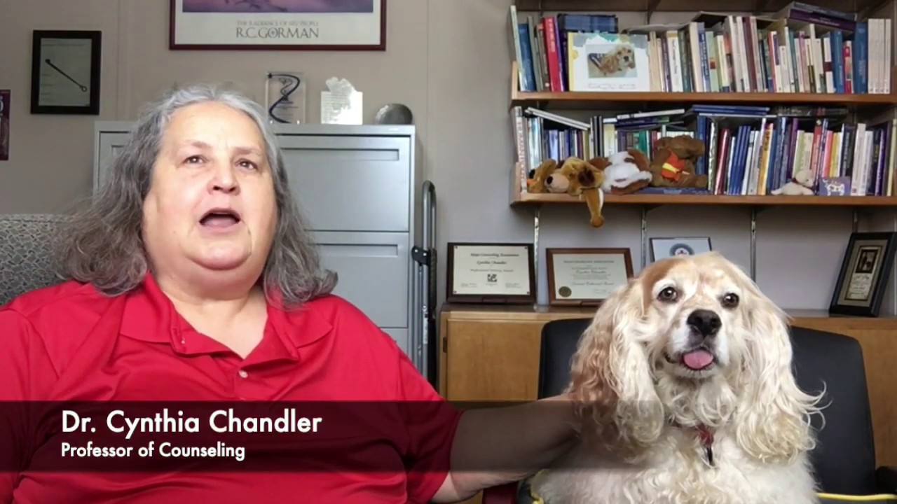 What is Animal Assisted Therapy?