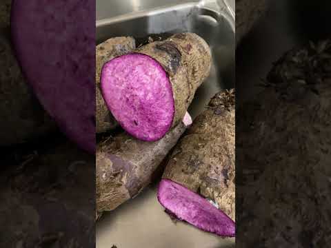 This is what REAL UBE looks like