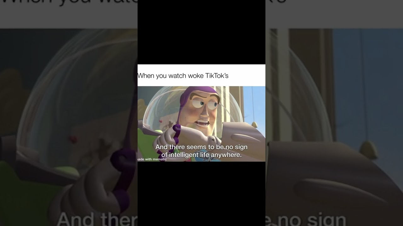 Conservative Memes 001