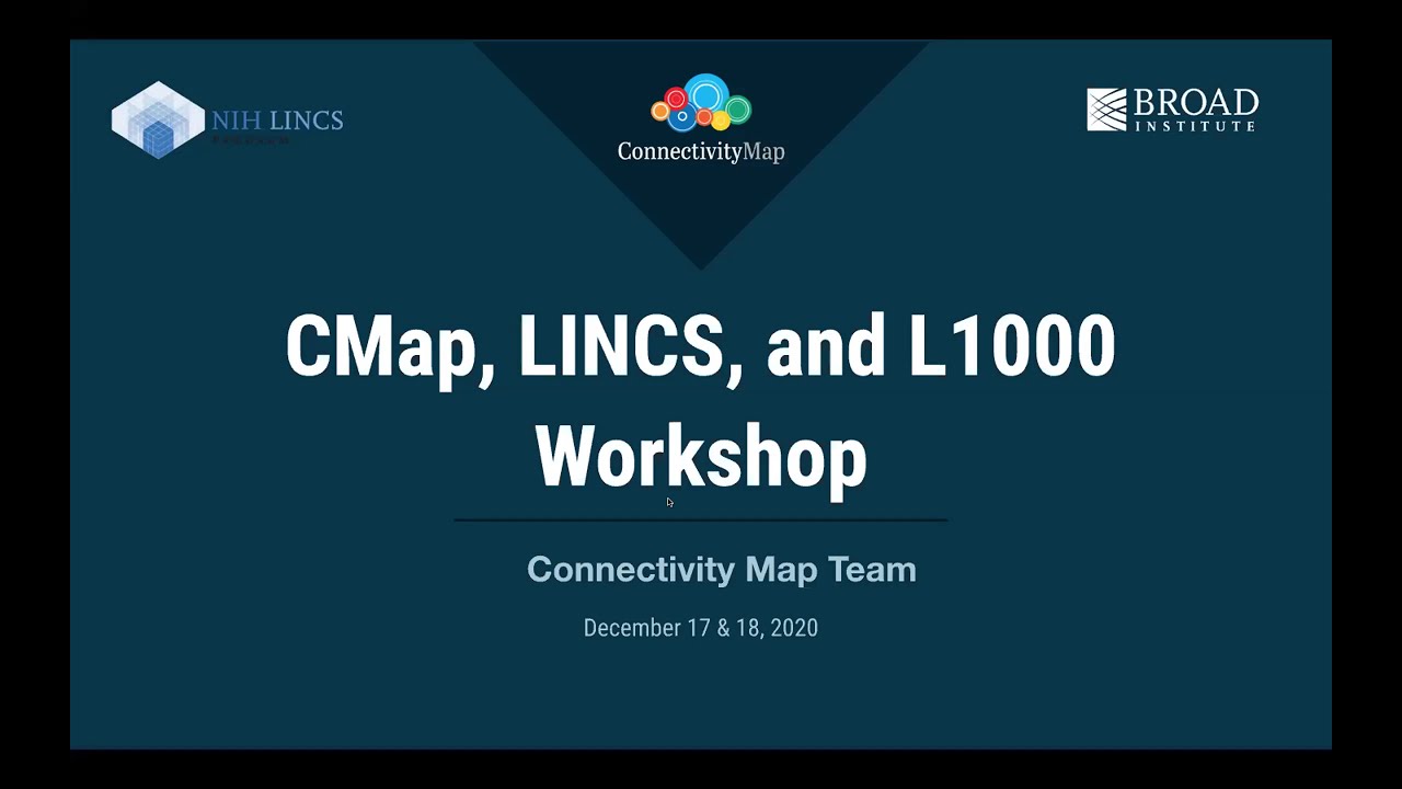 CMap LINCS Workshop 2020 Day 1 - Data Access Modes