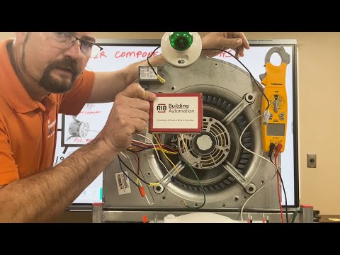 How to Wire a RIB Relay