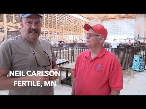 Polk County Fair Runs Through Sunday Evening In Fertile, MN