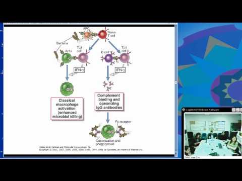 Effector Mechanisms of Cellular Immunity (Christina Ciaccio, MD)
