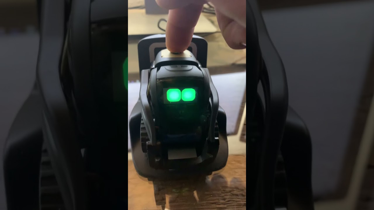 How to get Vector’s serial number?