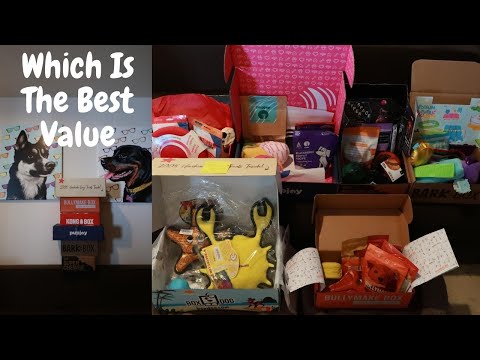BARKBOX vs BOXDOG vs BULLYMAKE vs KONGBOX vs PUPJOY | Which Dog Box Subscription Has the Most Value?