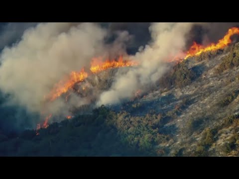 Firefighters battle dozens of wildfires fueled by dangerous heat wave and high winds