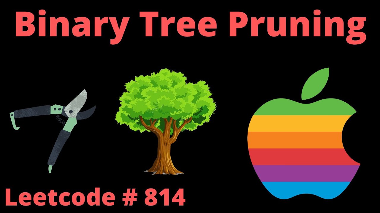 BINARY TREE PRUNING | LEETCODE # 814 | PYTHON POSTORDER DFS SOLUTION