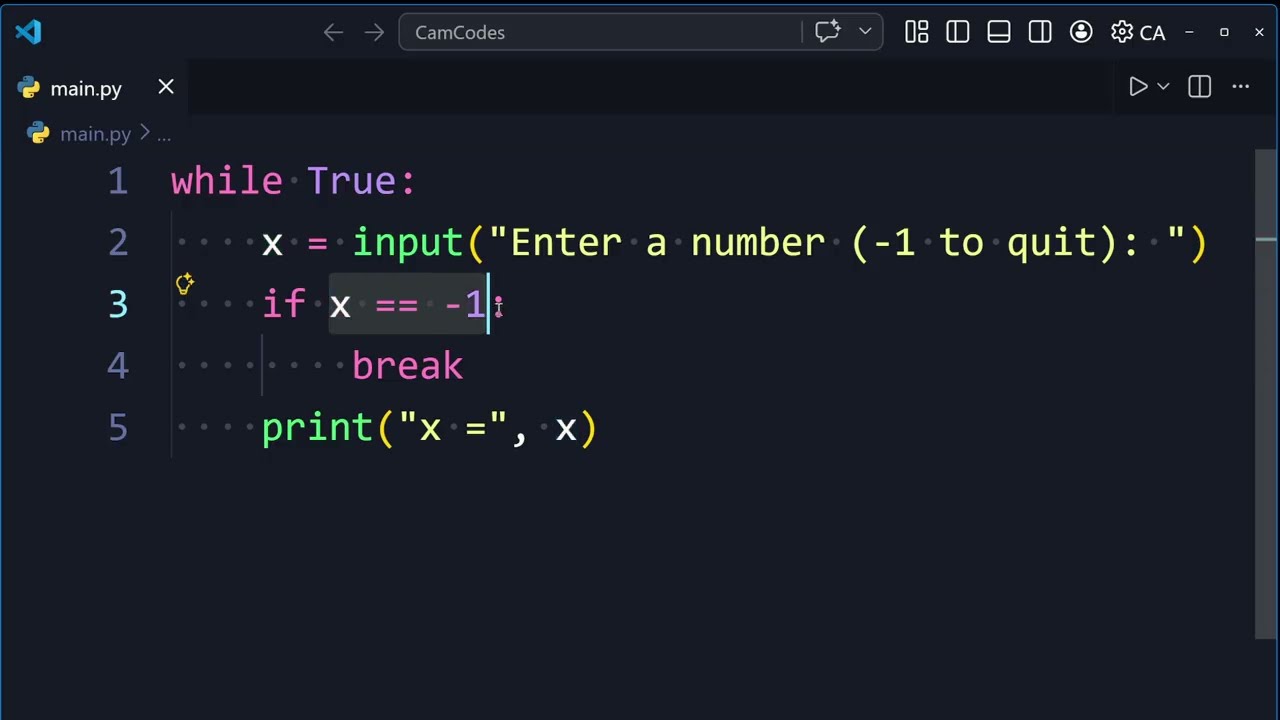 Why your Python input() loop doesn’t stop