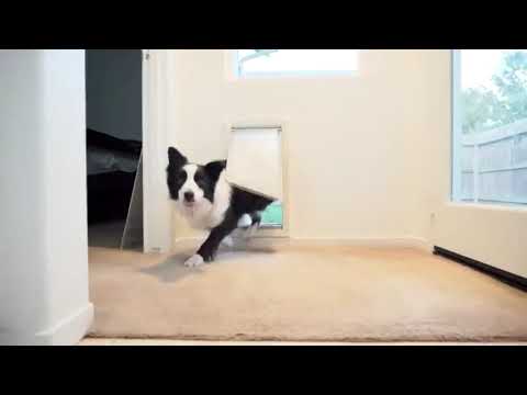 Endura Flap Severe Weather Vinyl Sliding Glass Dog Door - White Pet Door for Sliding Patio D Reviews