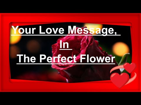 Unlock The Secret Message Of Valentine's Day Flowers!