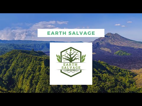 EARTH SALVAGE