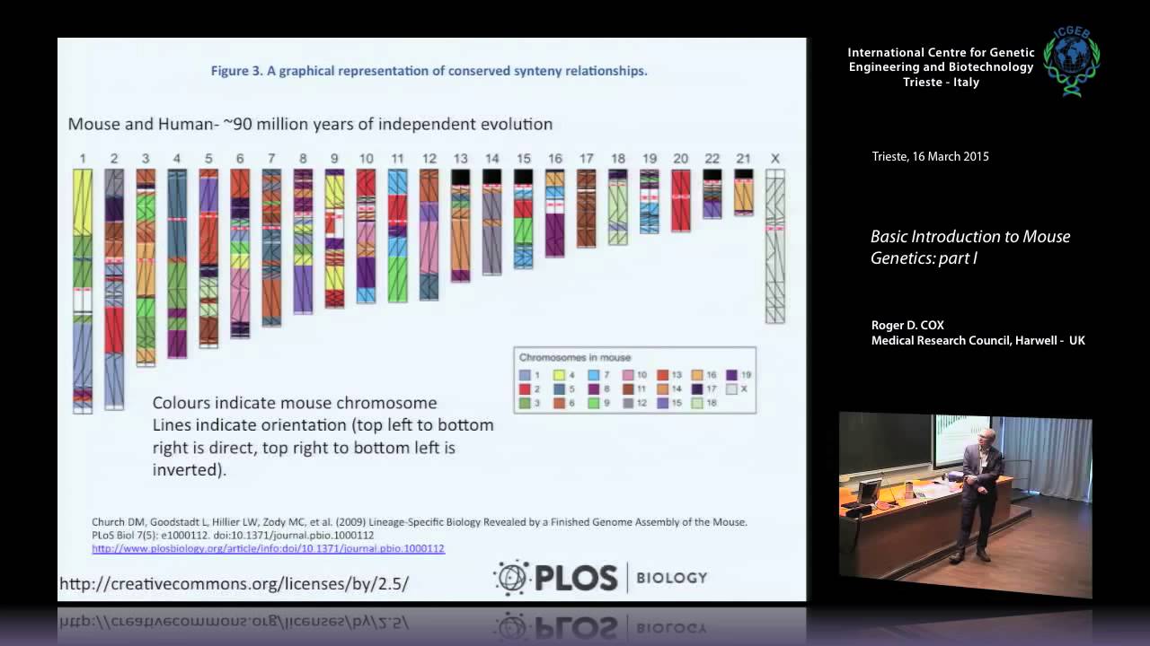 R. D. Cox - Basic Introduction to Mouse Genetics_ part I