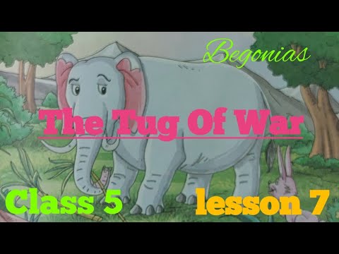 The Tug of War ### Class 5 ### lesson 7### Explanation in hindi# Begonias