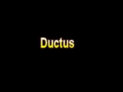 What Is The Definition Of Ductus - Medical Dictionary Free Online