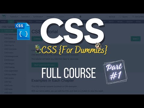 CSS Full Course 01 - How To Learn CSS , Learn CSS Tutorial | CSS for Absolute Beginners full Course