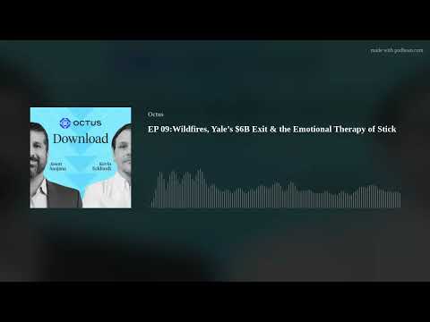 EP 09:Wildfires, Yale’s $6B Exit & the Emotional Therapy of Stick
