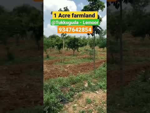 Tukkuguda : 1 Acre Farmland for sale in Lemoor, Srisailam highway, 9347642854 #tukkuguda #farmland