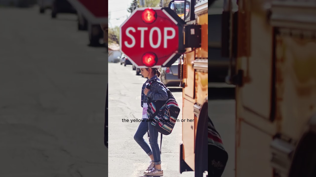 What Is The Long Yellow Arm In Front Of A School Bus? #schoolbus #school #road #education #knowledge