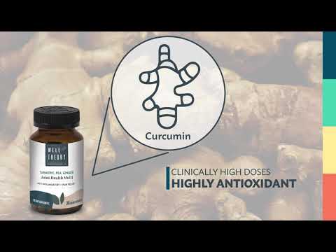 The Best Multi Ingredients For Joint Health + Oxidative Support