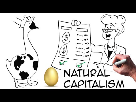 Natural Capitalism: definition & examples