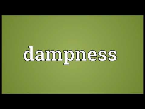 dampness meaning in English