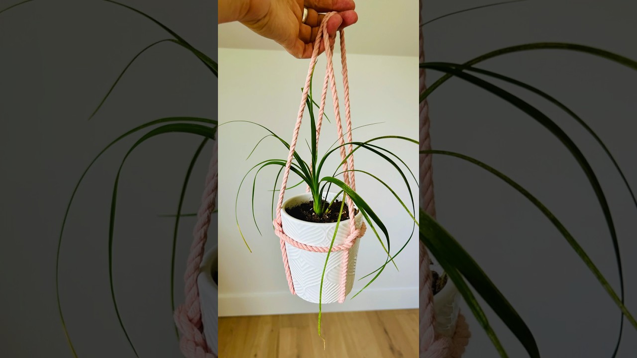 One cord macrame plant hanger. #macrametutorial #diy #planthanger