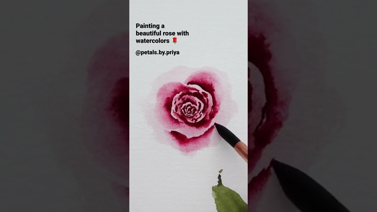 Painting a beautiful loose watercolor rose! New class launching 5/4/22 🤗