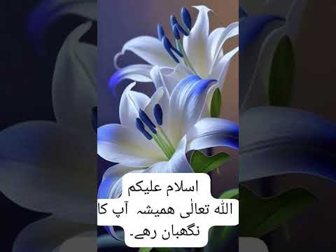 Quotes in Arabic #quran #arabic ✓