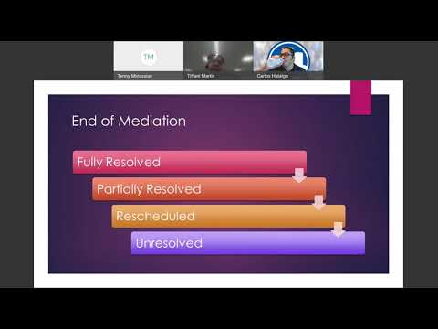 Webinar: Mediation Proceedings