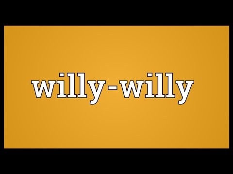 Willy-willy Meaning