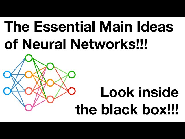 Understanding Neural Networks: A Beginner's Guide to the Black Box ...