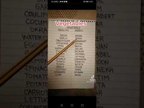 English Arabic words vegetable